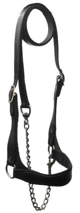 Sullivan's Classic Leather Flat Strap Show Halter